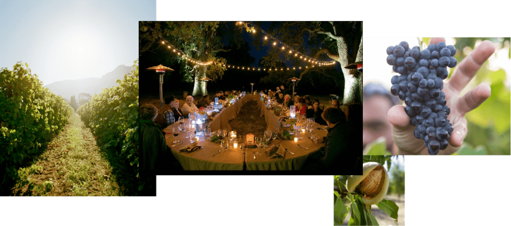 » The Working Ranch